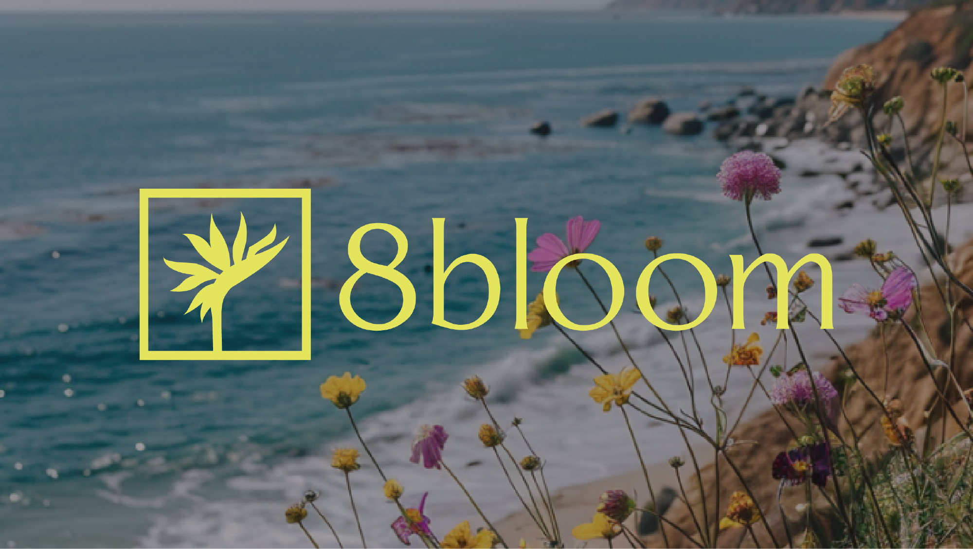 All Products – 8bloom